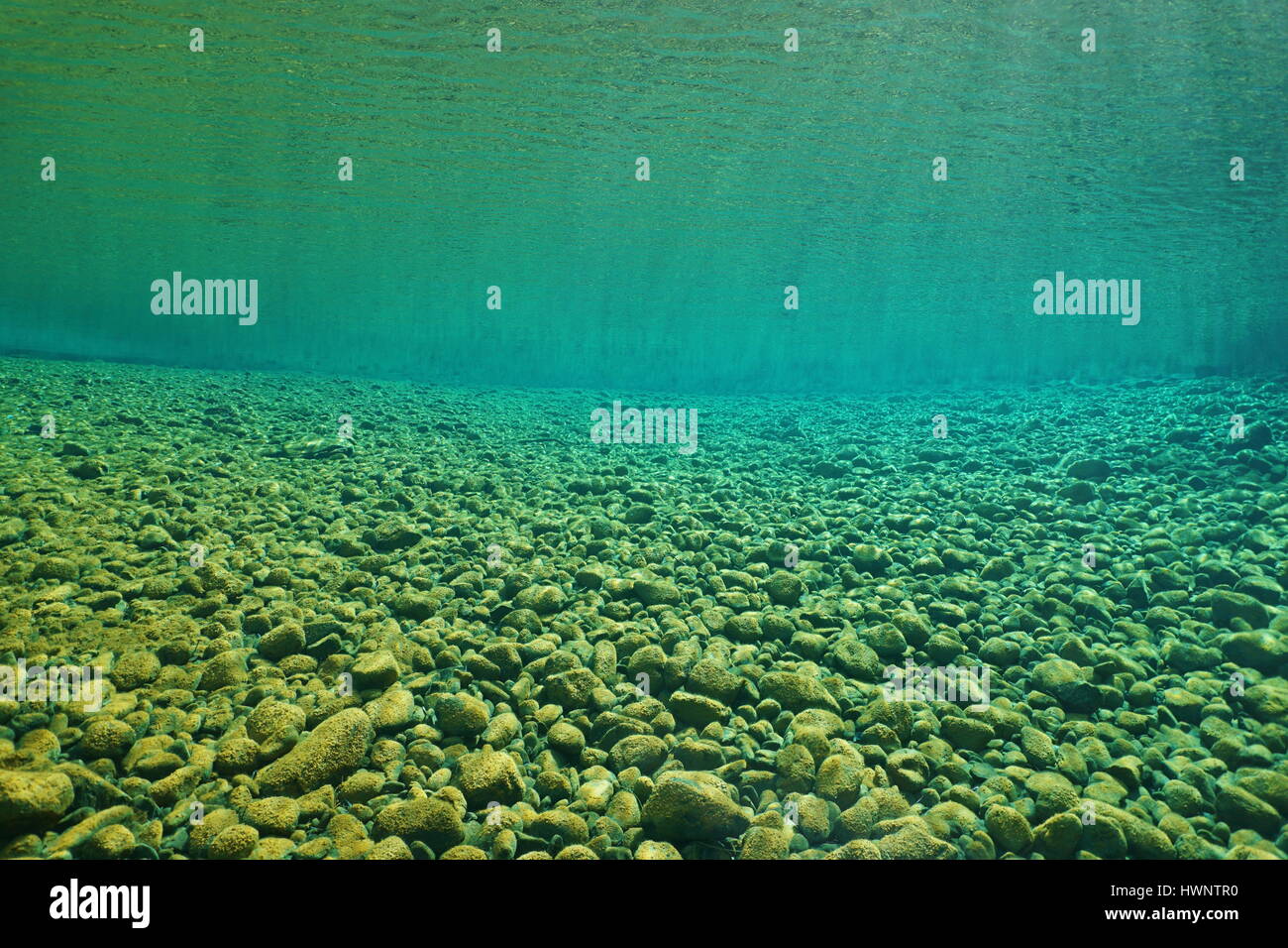Pebbles underwater on the riverbed with clear water, natural scene ...