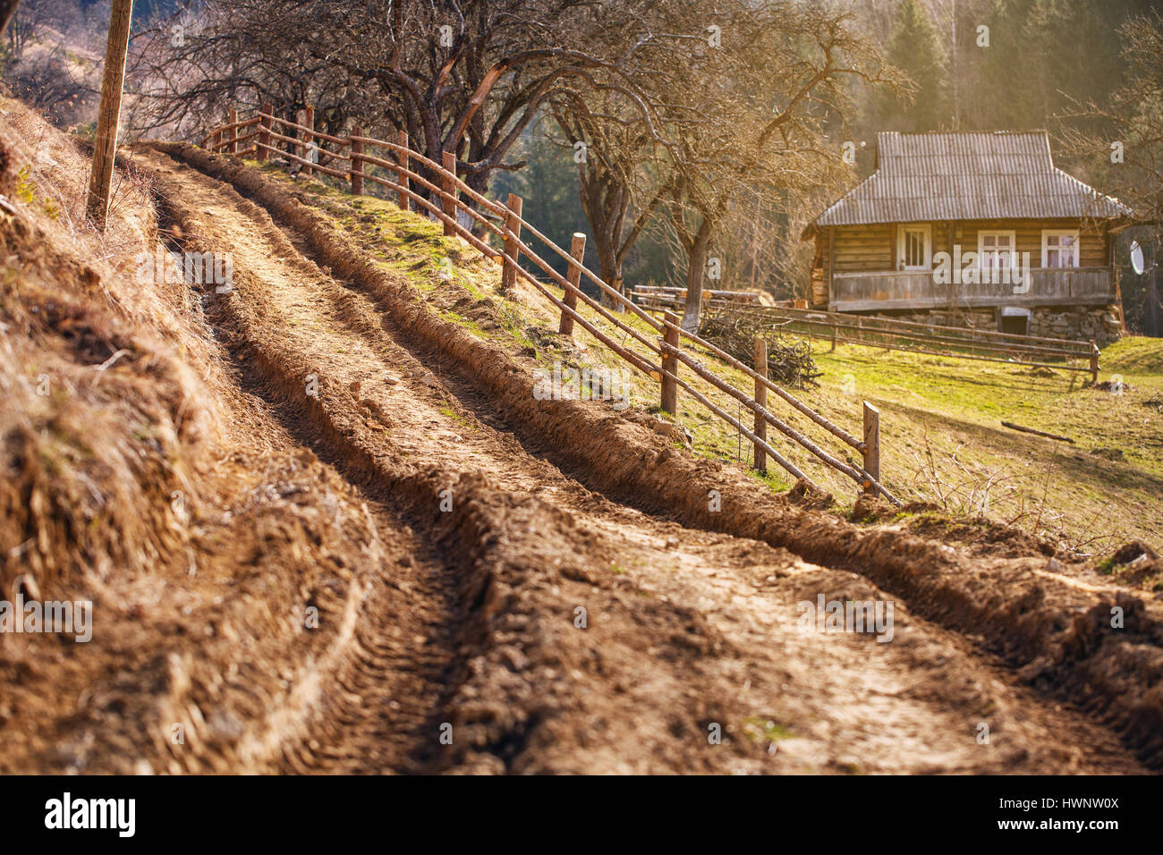 marsh dirt road in village Stock Photo - Alamy