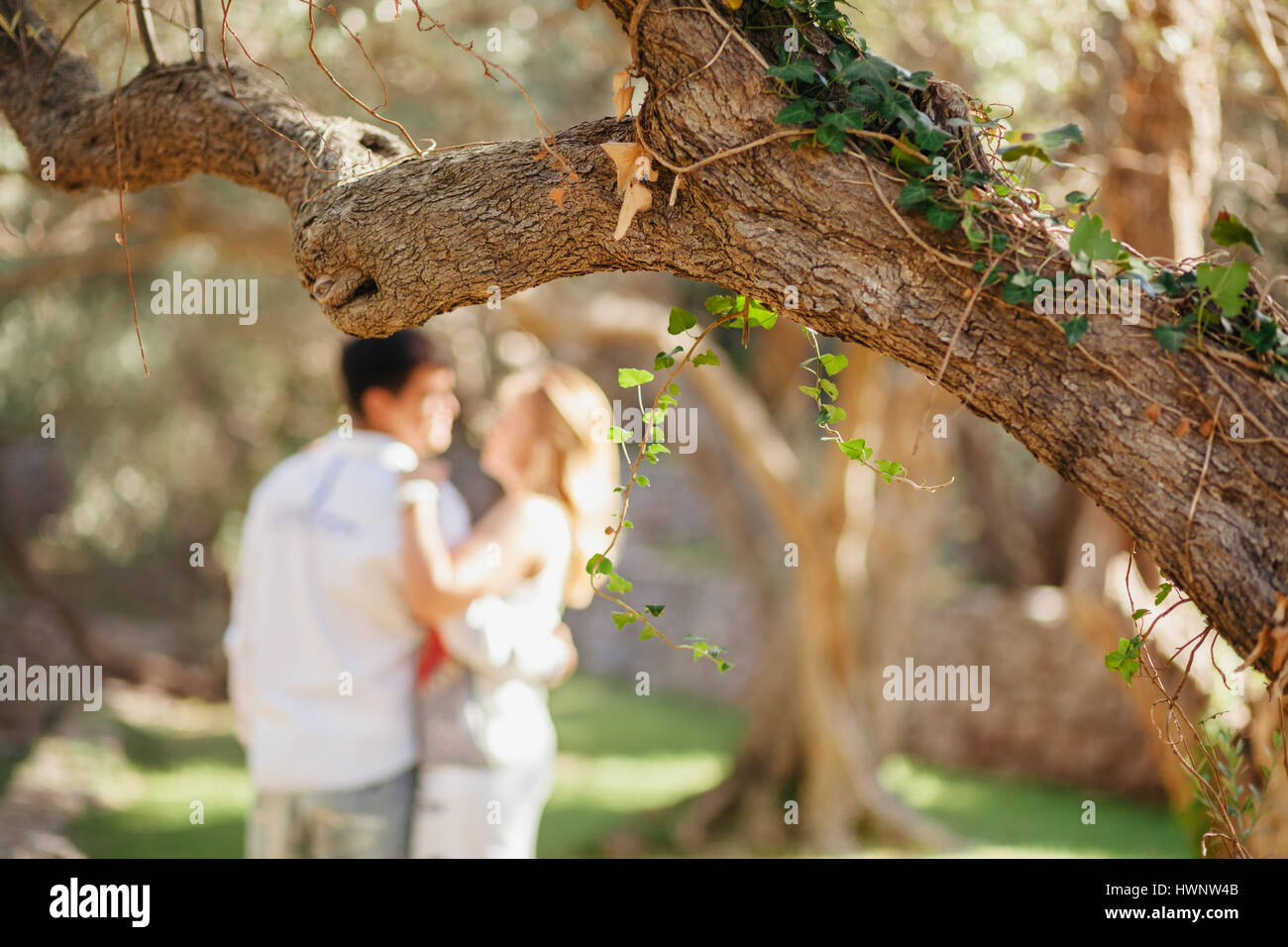 Guy girl sunset kissing in hi-res stock photography and images - Alamy