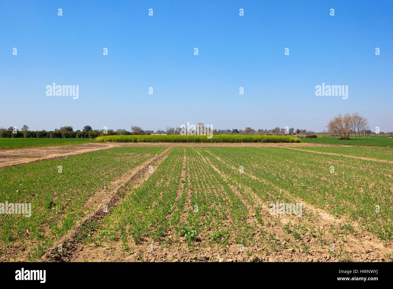North india landscape hi-res stock photography and images - Alamy