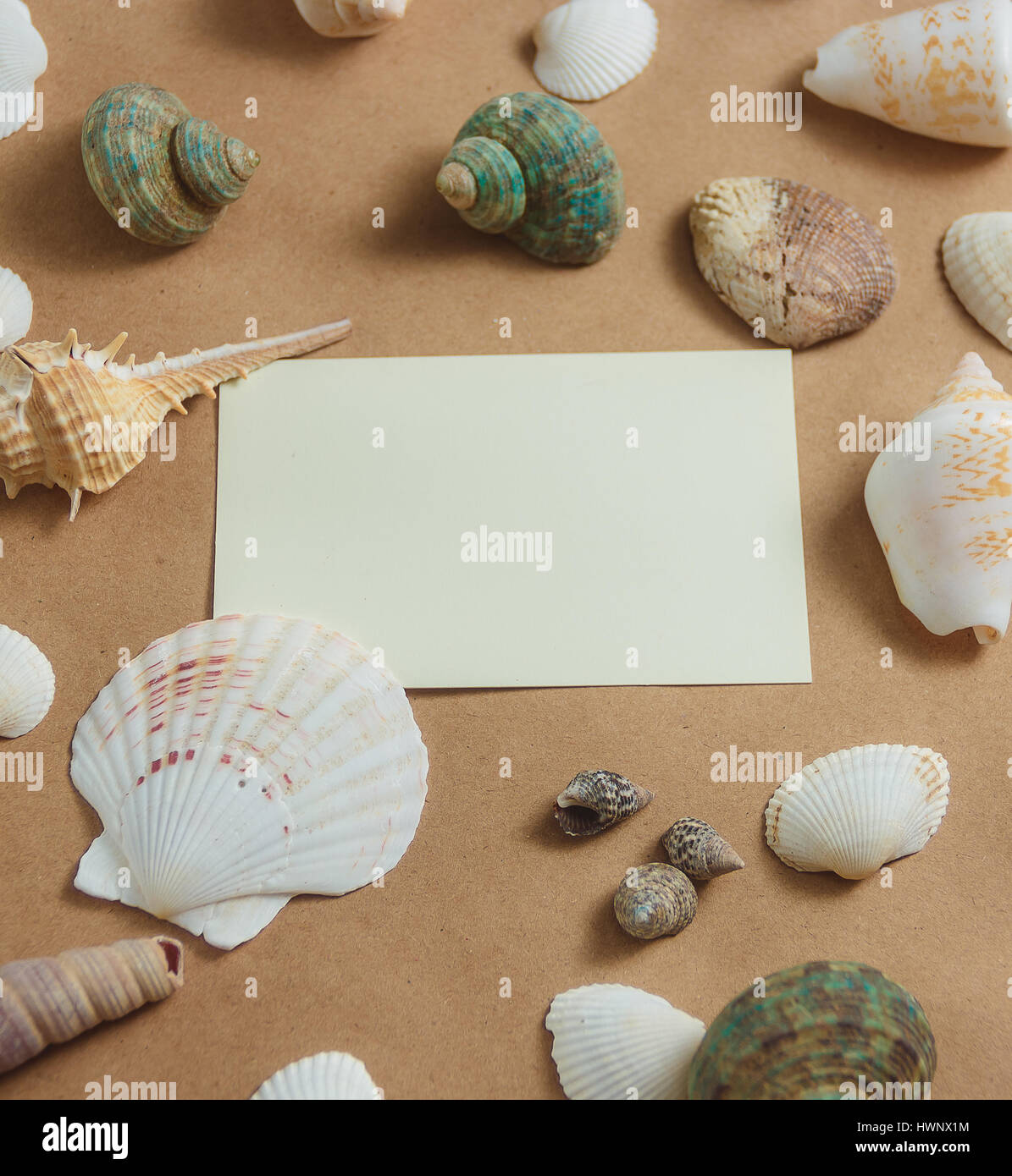 Flat sea at the beach hi-res stock photography and images - Alamy