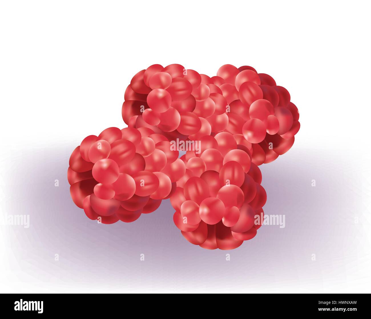 Candies isolated on white background Stock Vector Images - Alamy