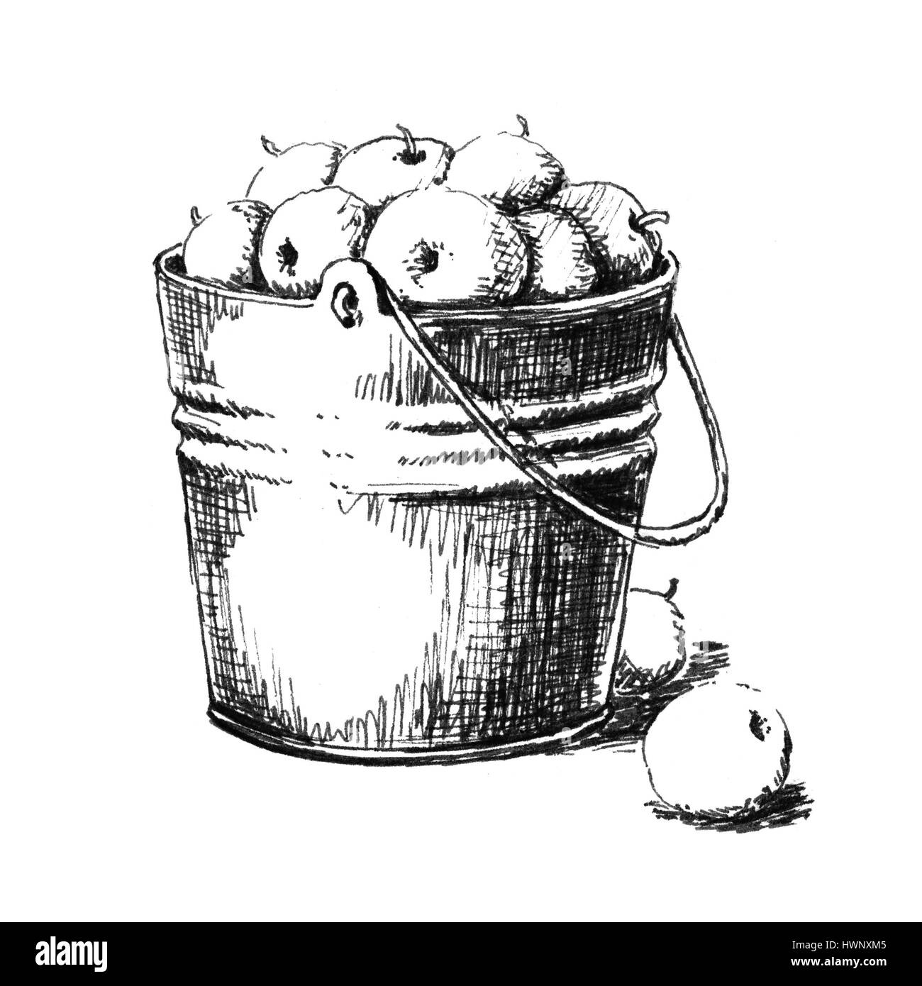 Bucket with apples Cut Out Stock Images & Pictures - Alamy