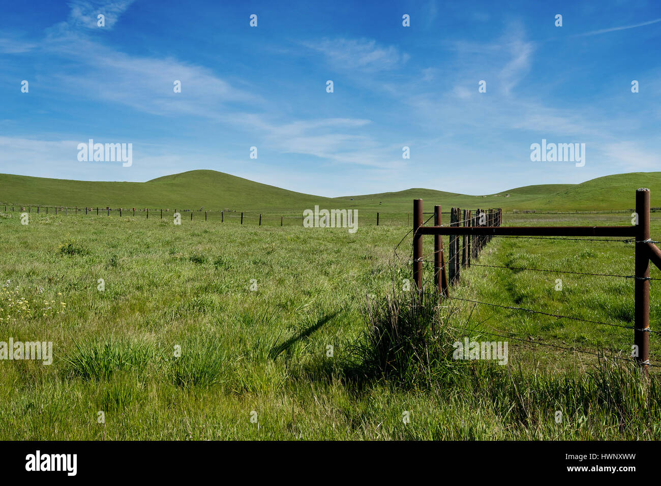 Panoramic view of a pasture at the Rush Ranch Open Space, Fairfield ...