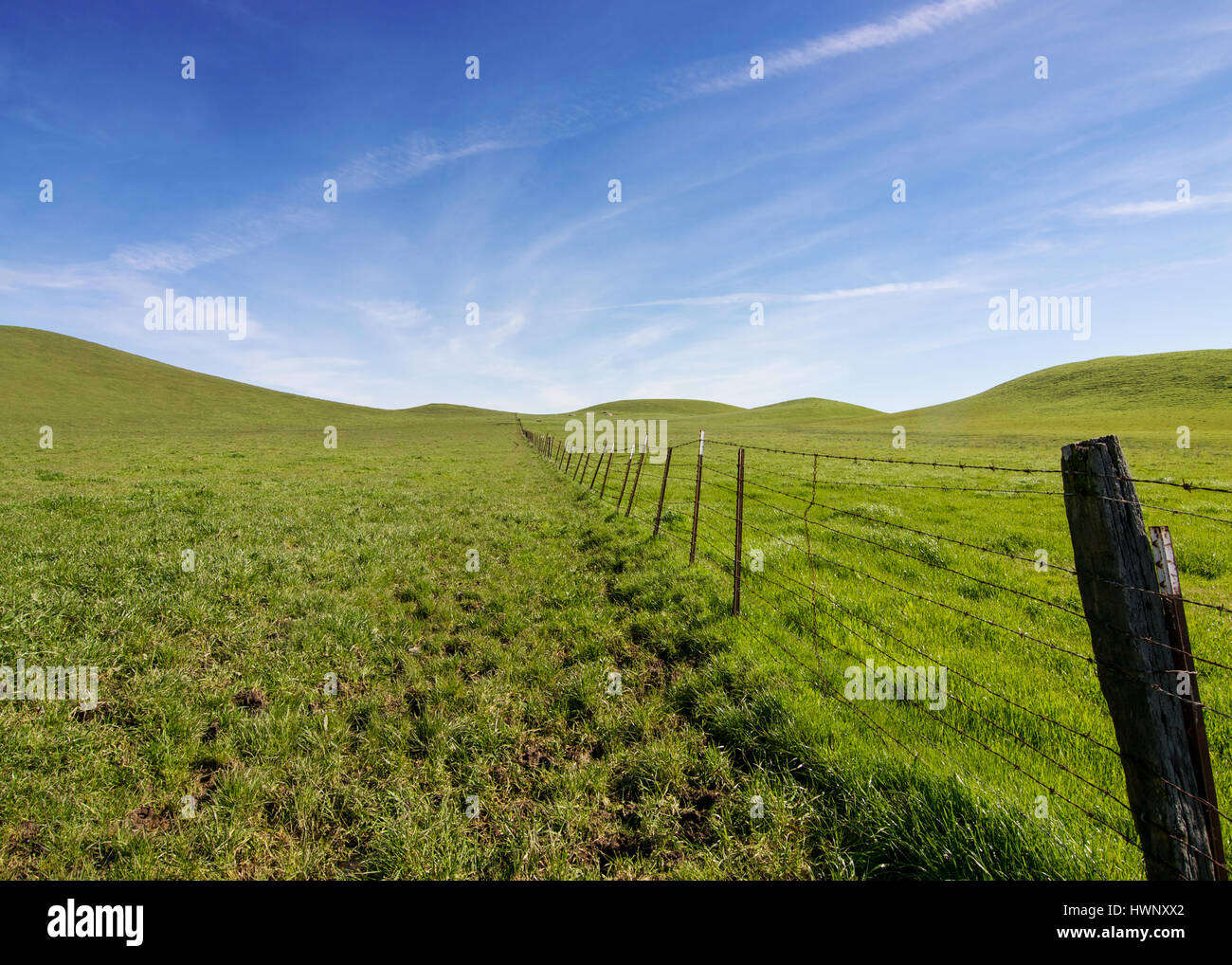 Panoramic view of a pasture at the Rush Ranch Open Space, Fairfield ...