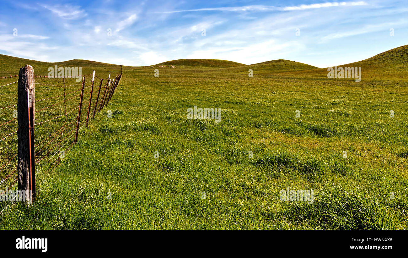 Panoramic view of a pasture at the Rush Ranch Open Space, Fairfield ...