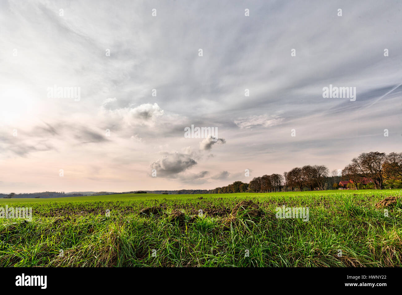 beautiful HDR landscape with young field Stock Photo - Alamy