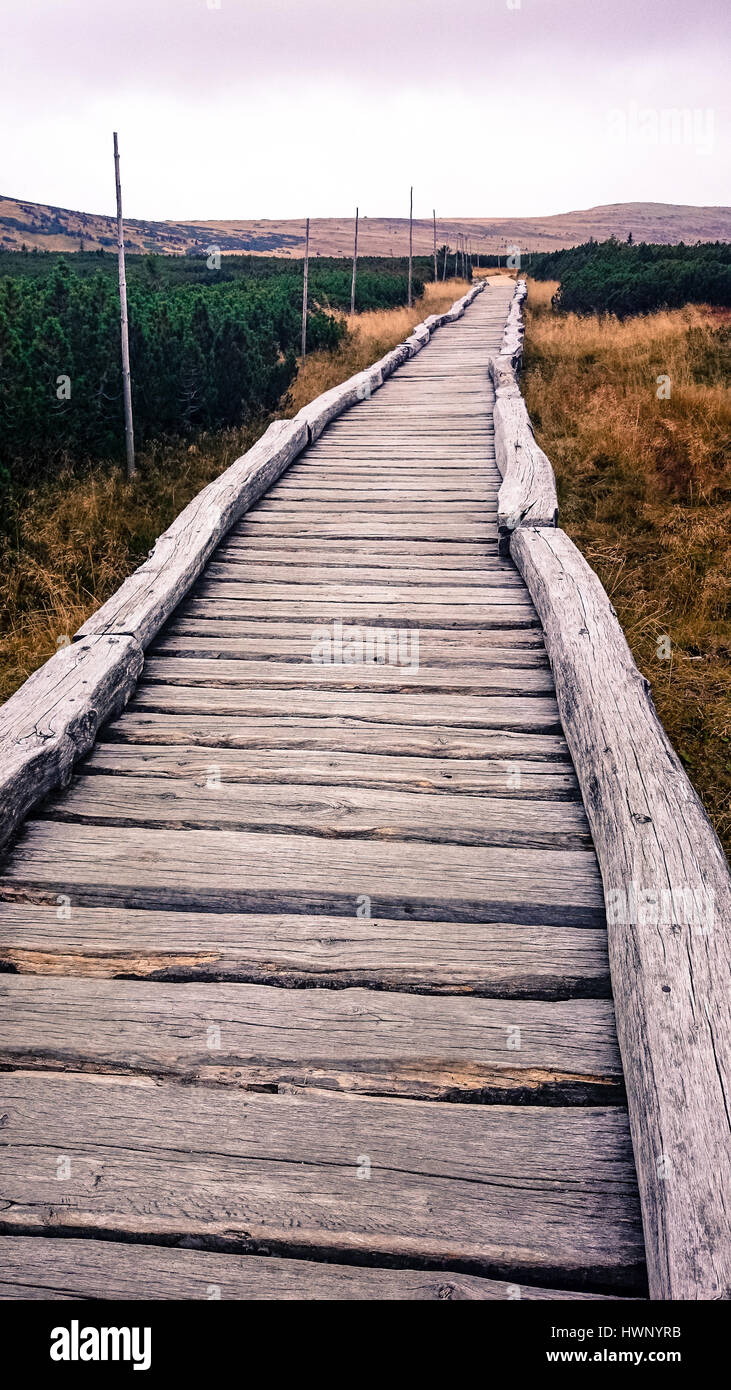 Wooden straight path in the mountains Stock Photo - Alamy