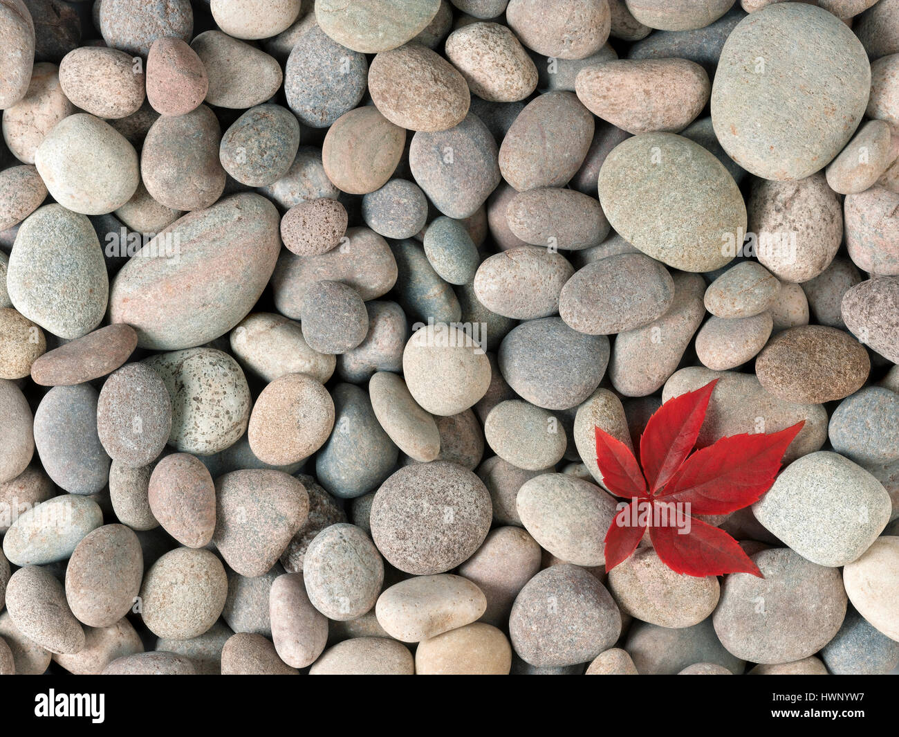 Singular pebble hi-res stock photography and images - Alamy