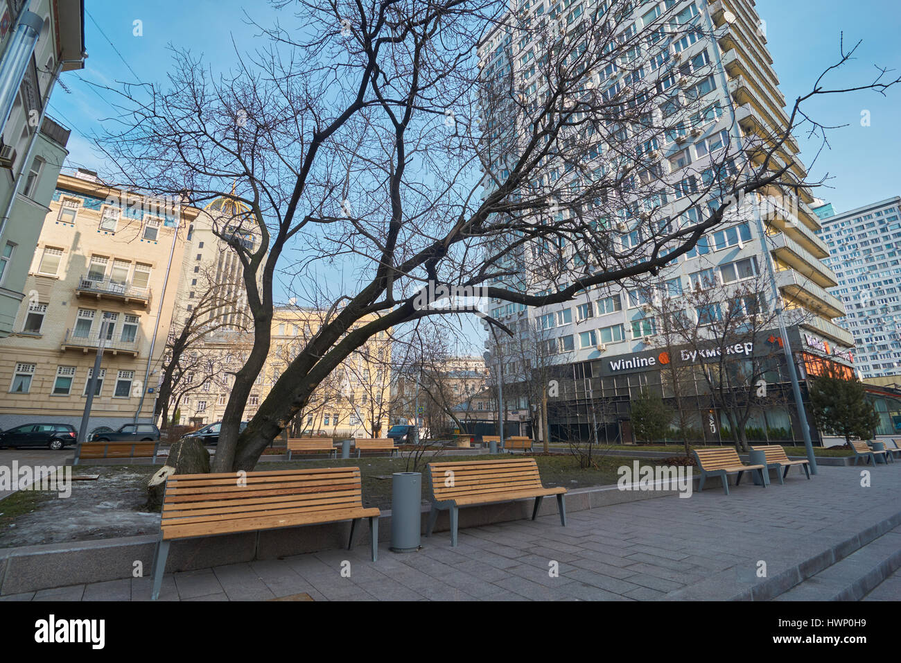 Moscow, Russia - March 08, 2017: Benches and leafless tree on New Arbat ...