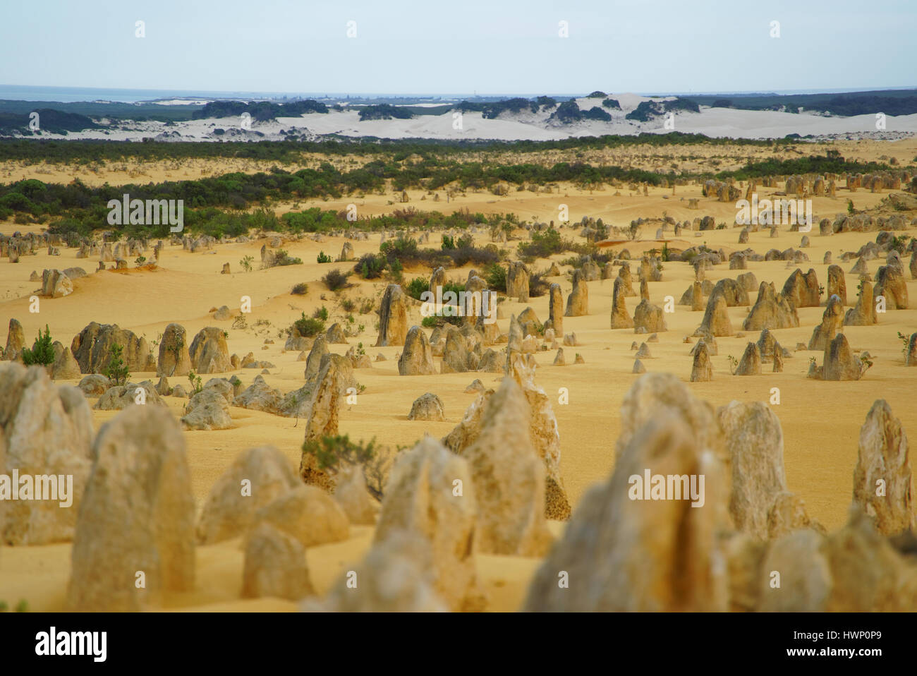 Australia Perth Pineapple Desert Stock Photo - Alamy