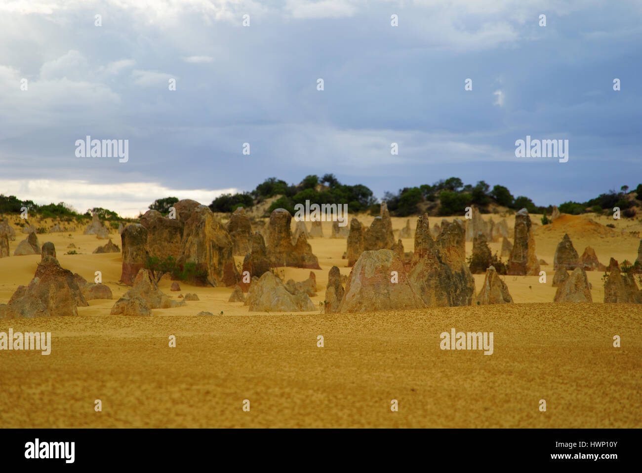 Australia Perth Pineapple Desert Stock Photo - Alamy