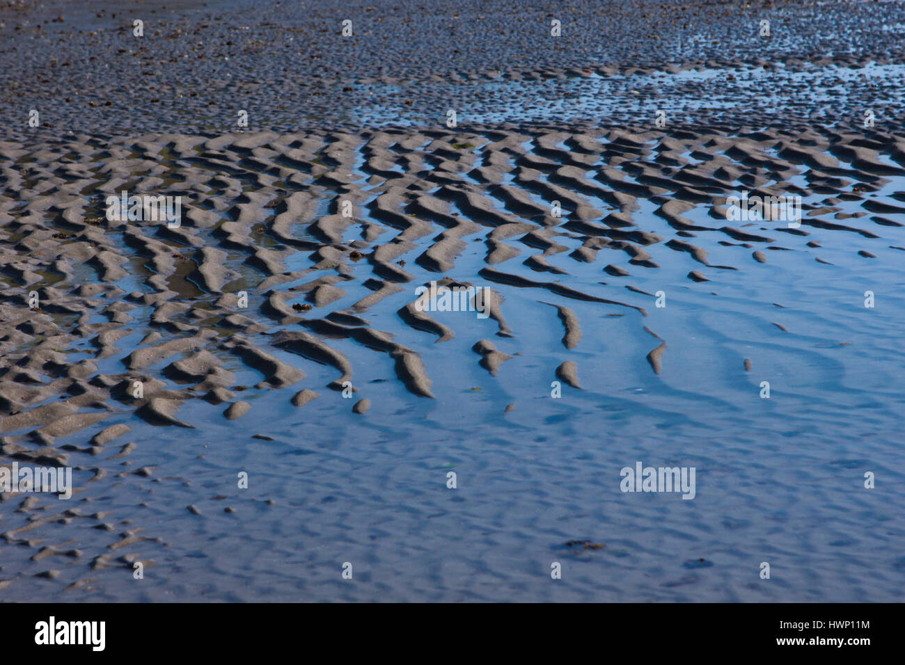 Sand ripples in low tide at Patacho beach, like tropical summer ...