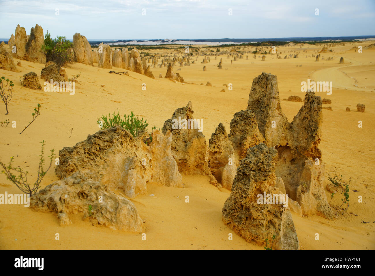 Australia Perth Pineapple Desert Stock Photo - Alamy