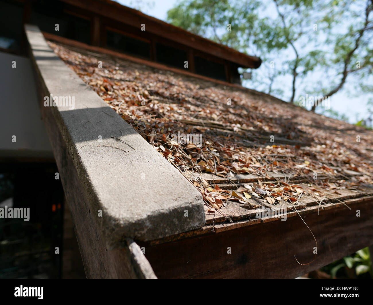 The roof of a house covered by dead leaves Stock Photo - Alamy