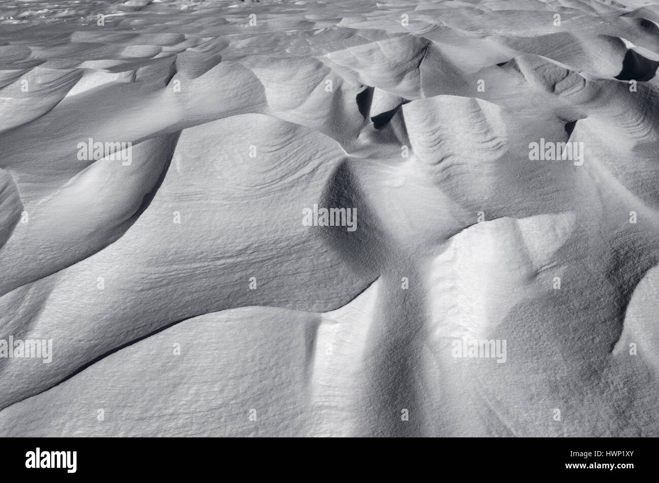Black and white landscape with snow shapes covering earth with windy ...