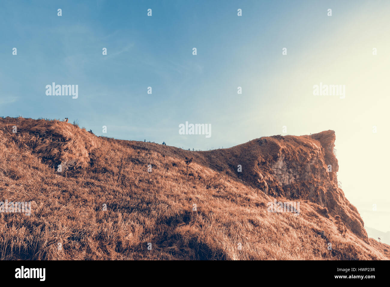 Brown tone winter landscape hi-res stock photography and images - Alamy