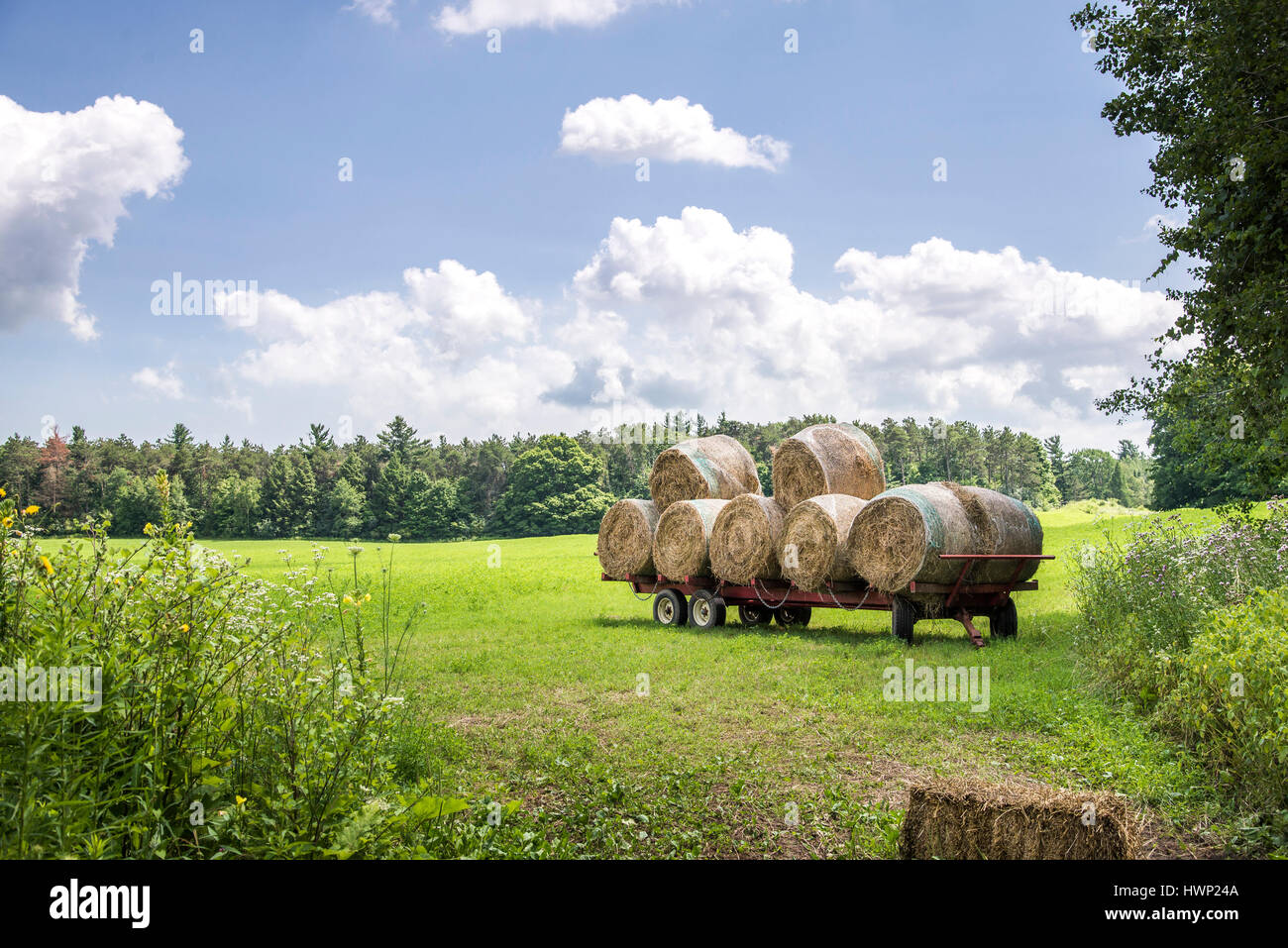 A farm cart loaded with large hay bales sits in a field in rural ...