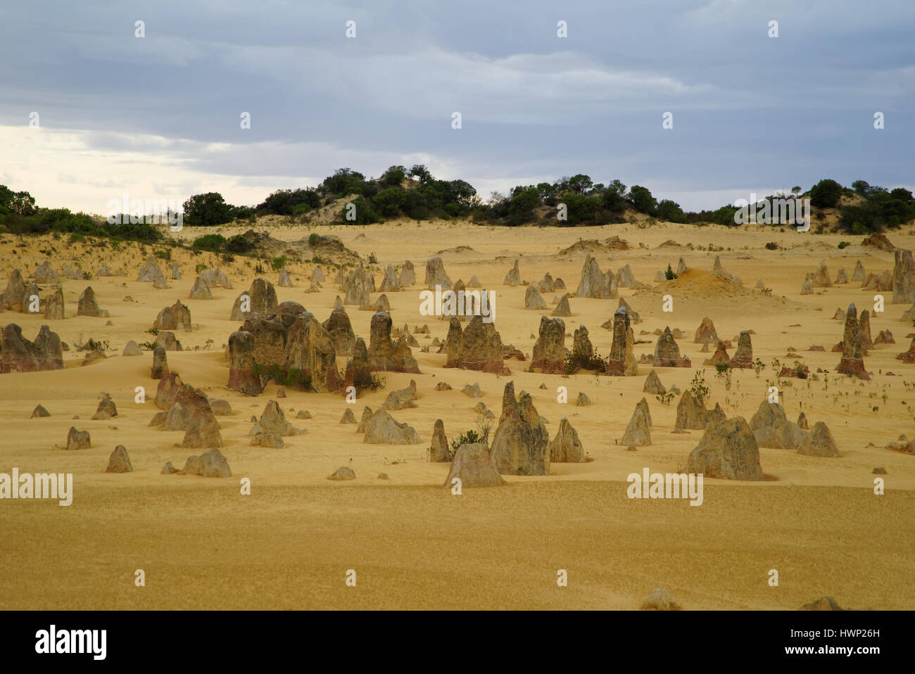 Australia Perth Pineapple Desert Stock Photo - Alamy