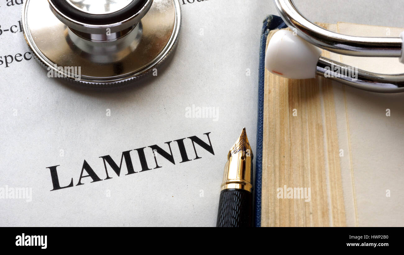 Page with title laminin on a surface Stock Photo - Alamy
