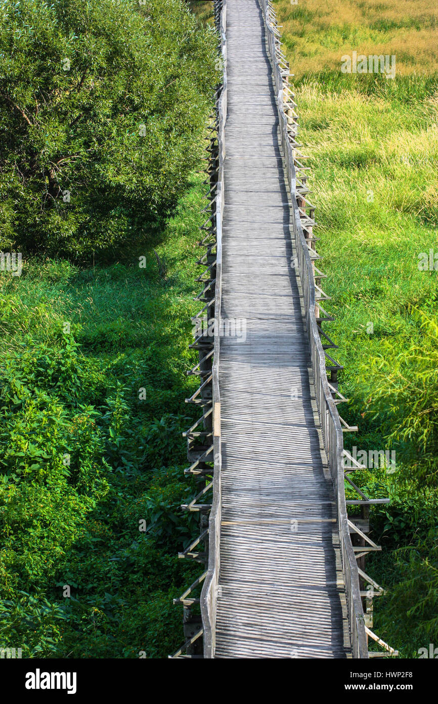 long wooden bridge over some wetlands Stock Photo - Alamy