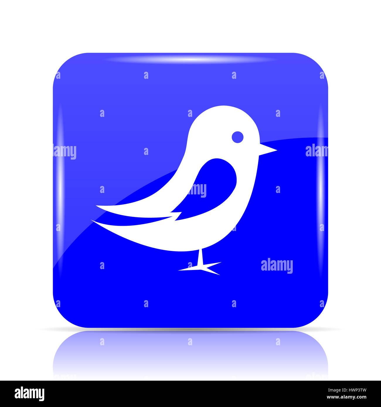 Bird icon, blue website button on white background Stock Photo - Alamy