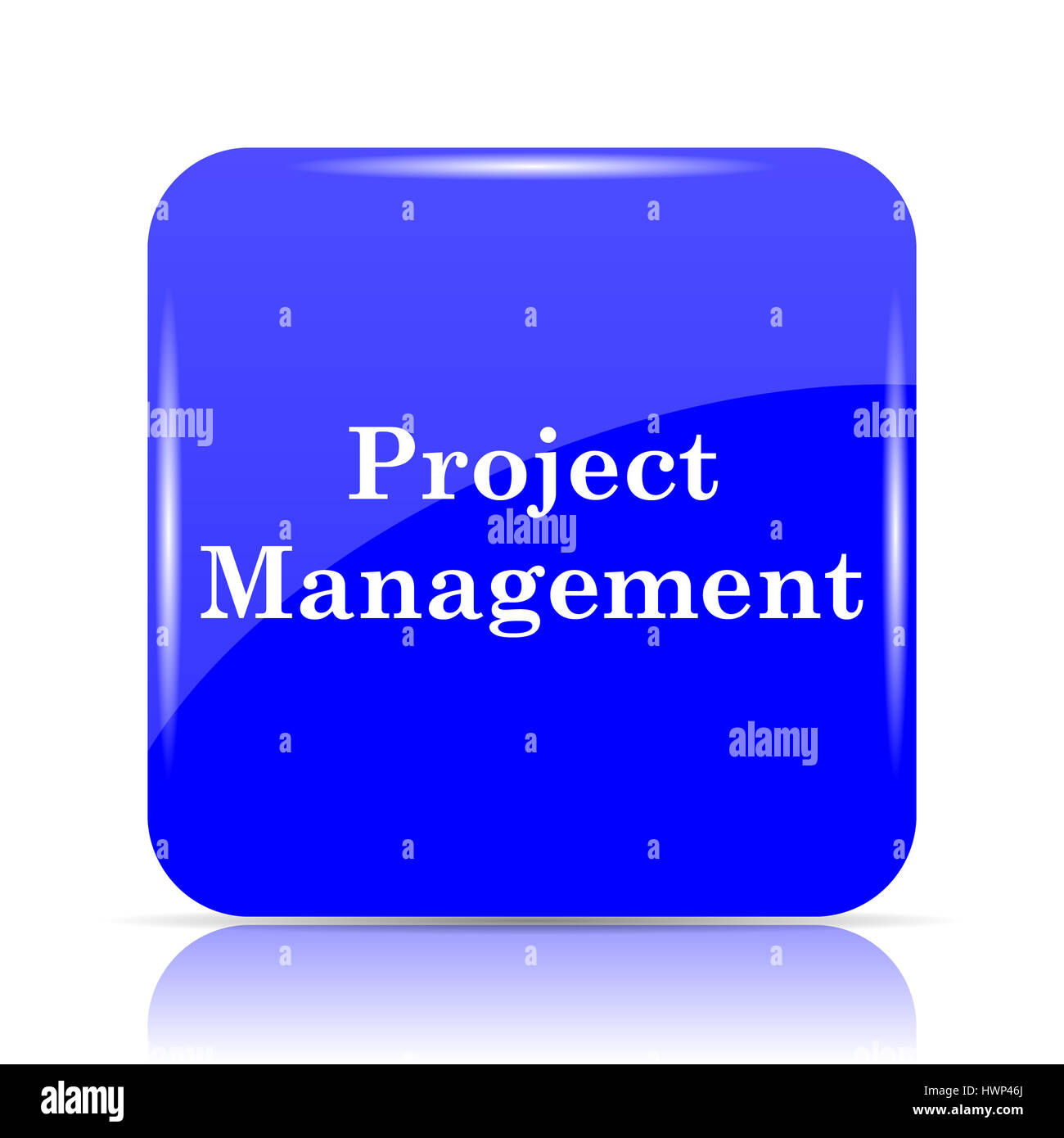 Project management icon, blue website button on white background Stock ...