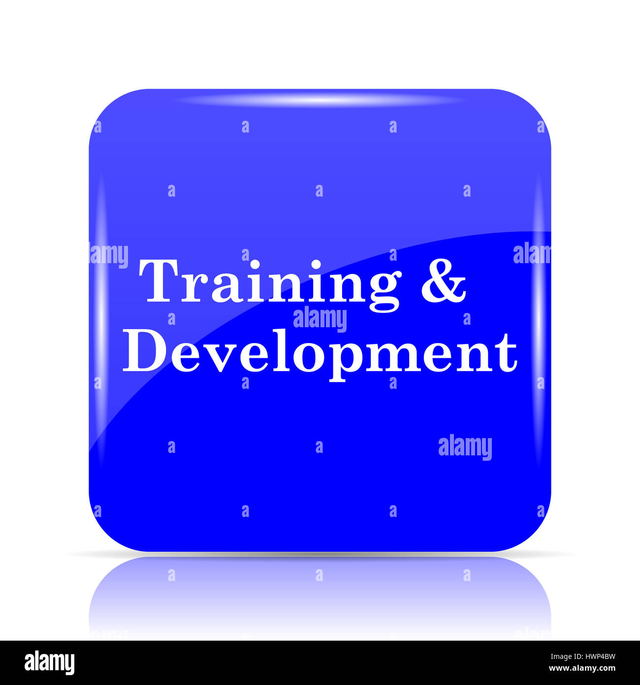 Training and development icon, blue website button on white background ...