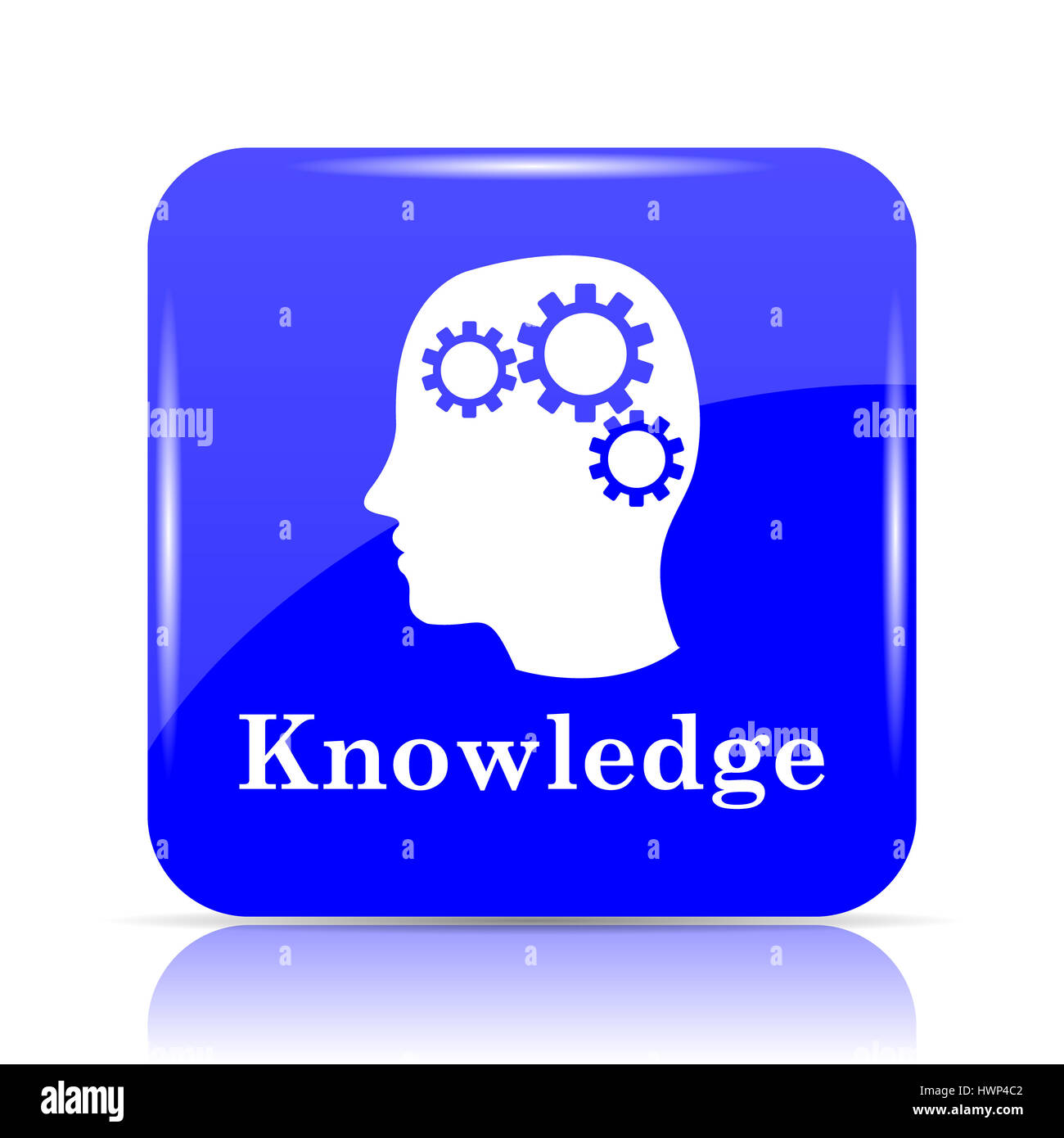 Knowledge icon, blue website button on white background Stock Photo - Alamy