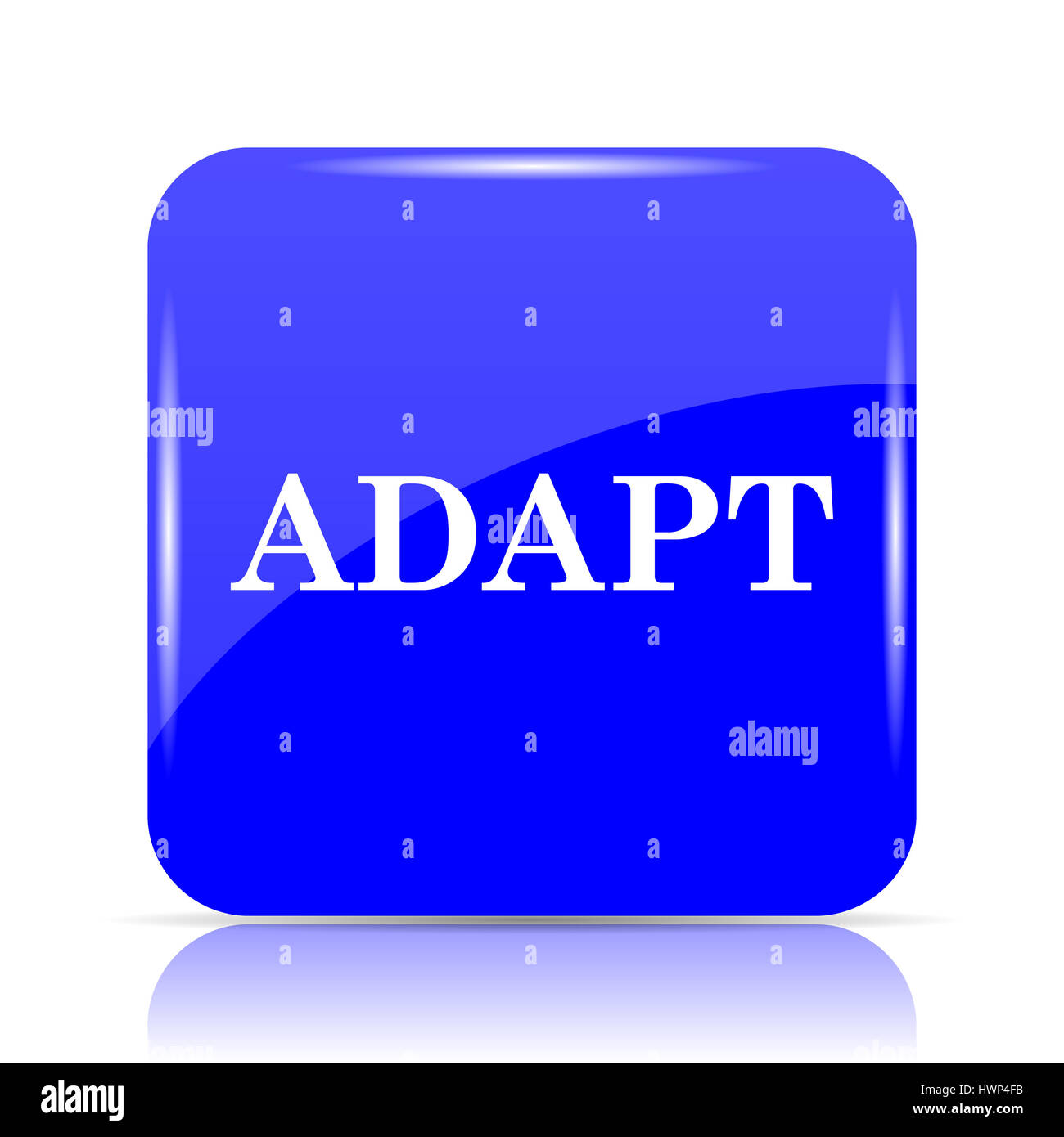 Adapt icon, blue website button on white background Stock Photo - Alamy