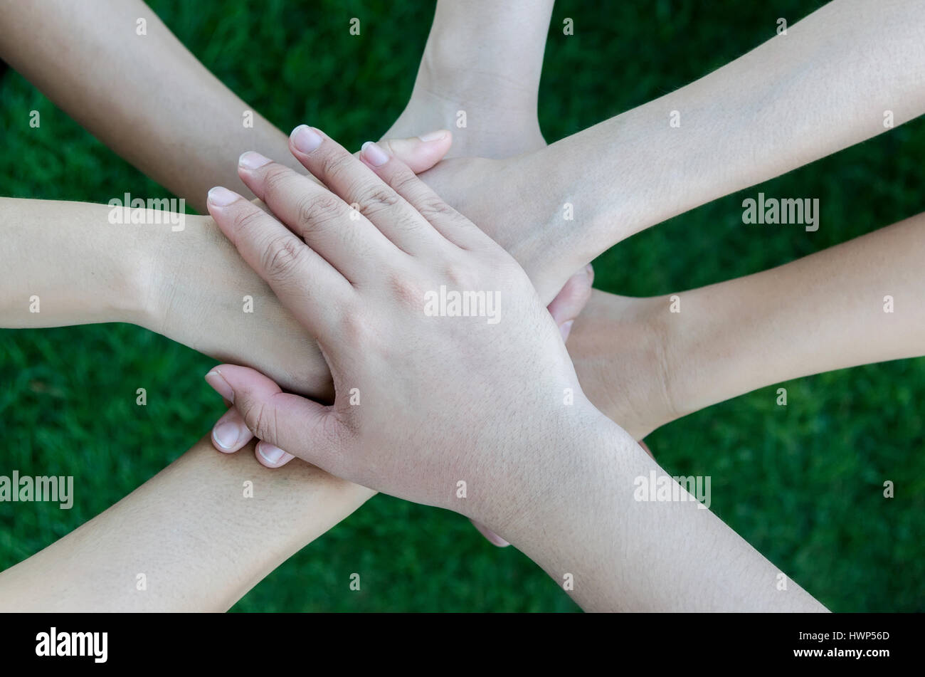 All for one teamwork concept. Join their hands on green grass ...
