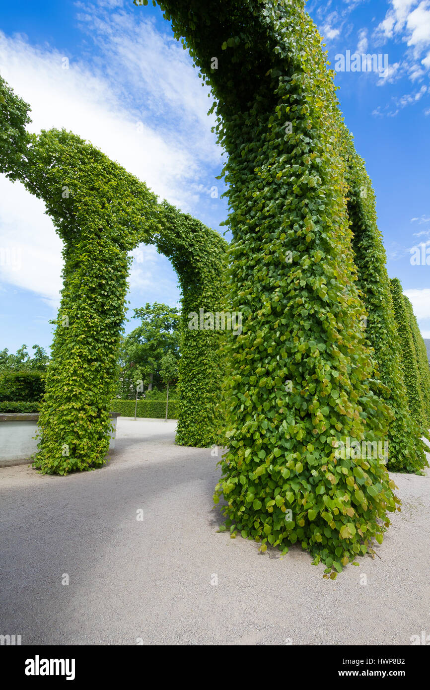 Green leaves arches - decorative arches of green leaves in garden park ...
