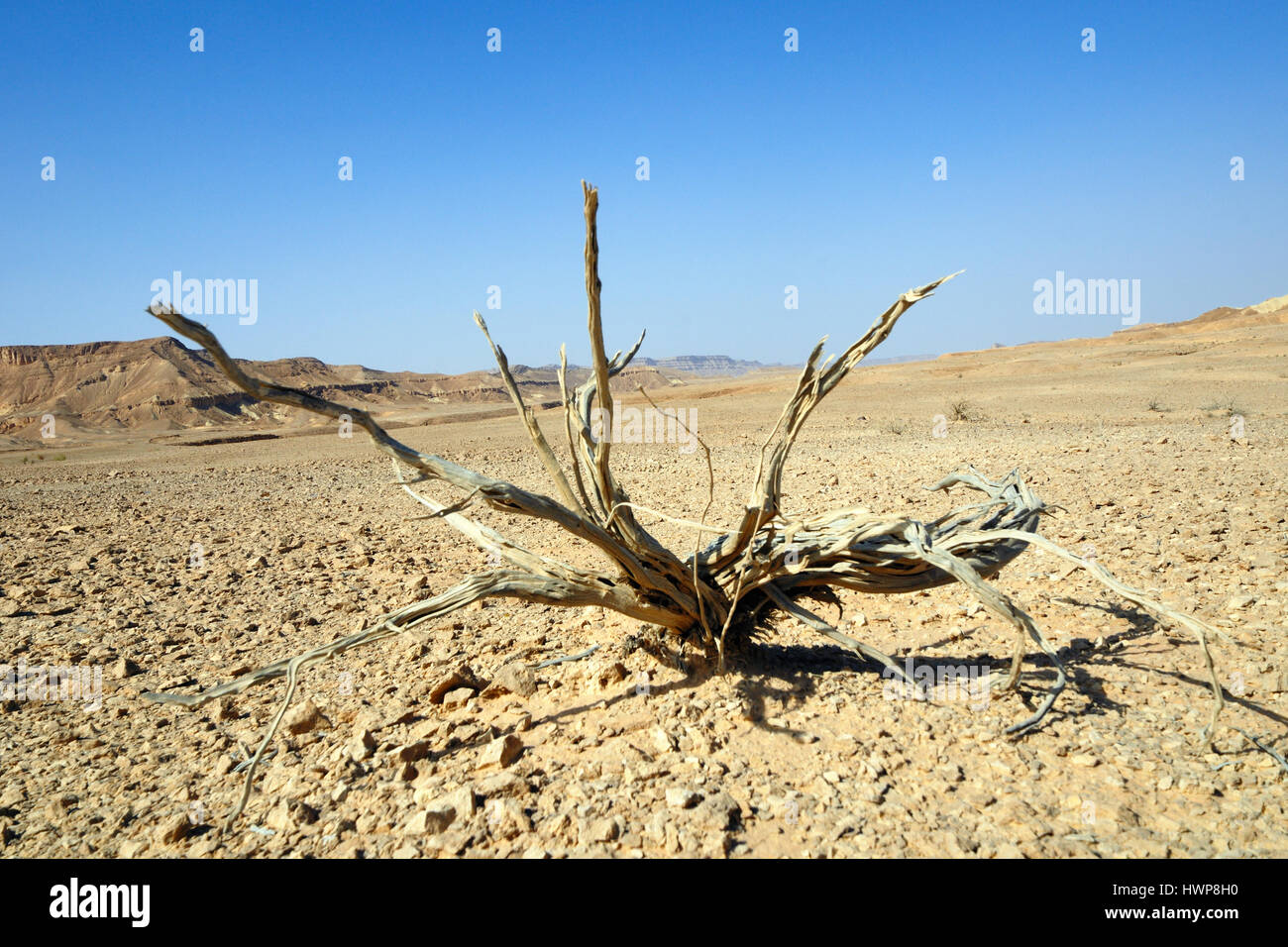 Taken in the southern stretch of the Arava(Arabah), Israel Stock Photo ...