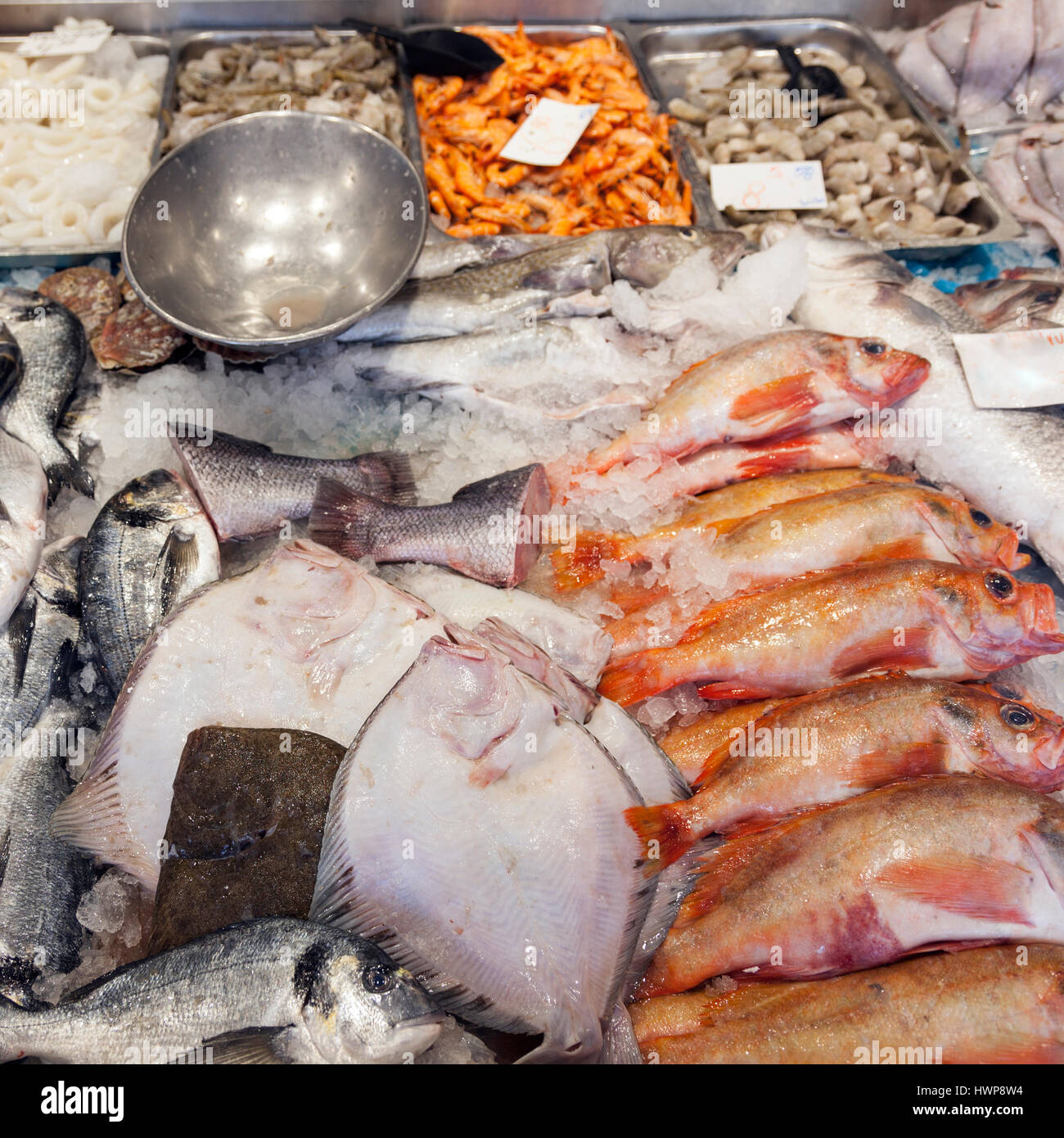 Many kinds of fresh seafood hi-res stock photography and images - Alamy
