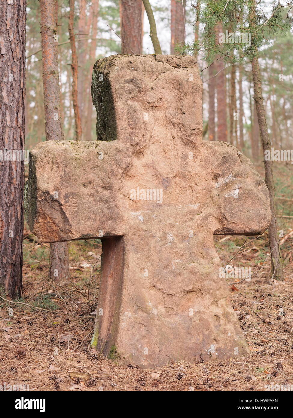 A medieval stone cross in a forest, Germany 2016 Stock Photo - Alamy