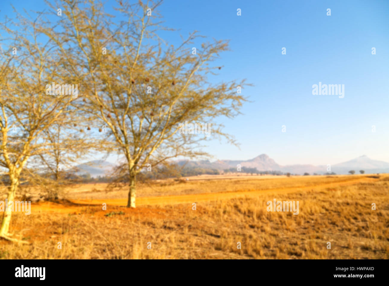blur in swaziland mlilwane wildlife nature reserve mountain and tree ...