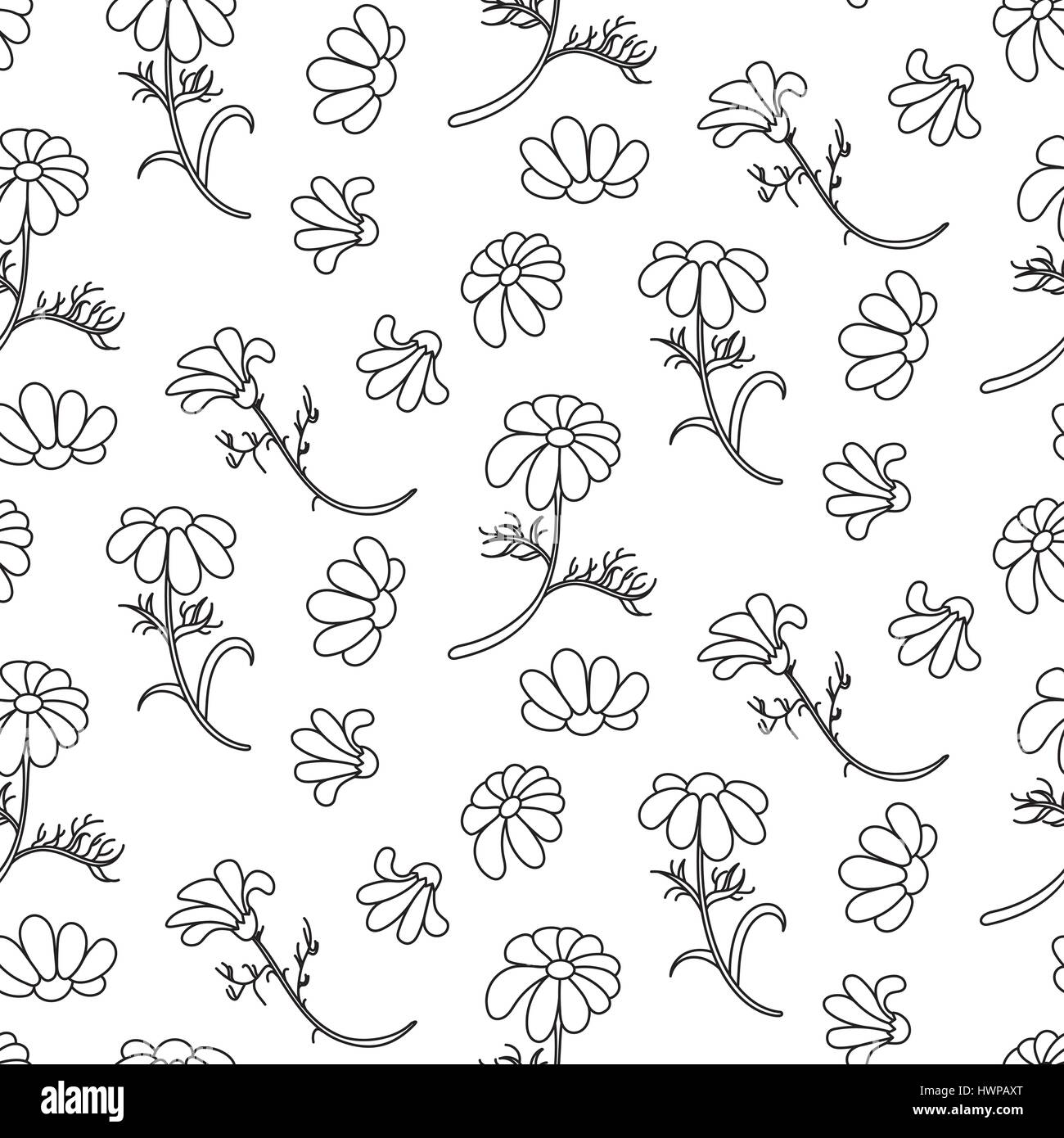 Backdrop of wildflowers Black and White Stock Photos & Images - Alamy