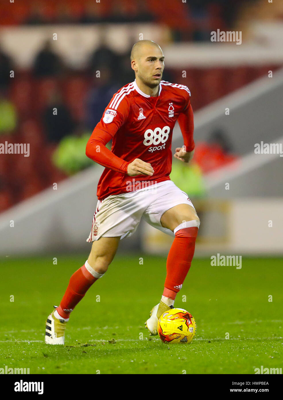 Pajtim kasami forest hi-res stock photography and images - Alamy