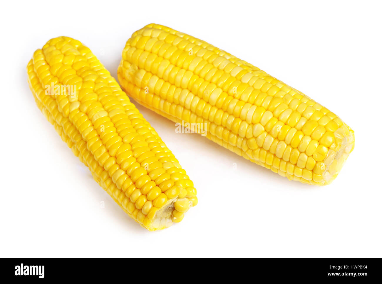 Two of corn ears isolated on white background Stock Photo - Alamy