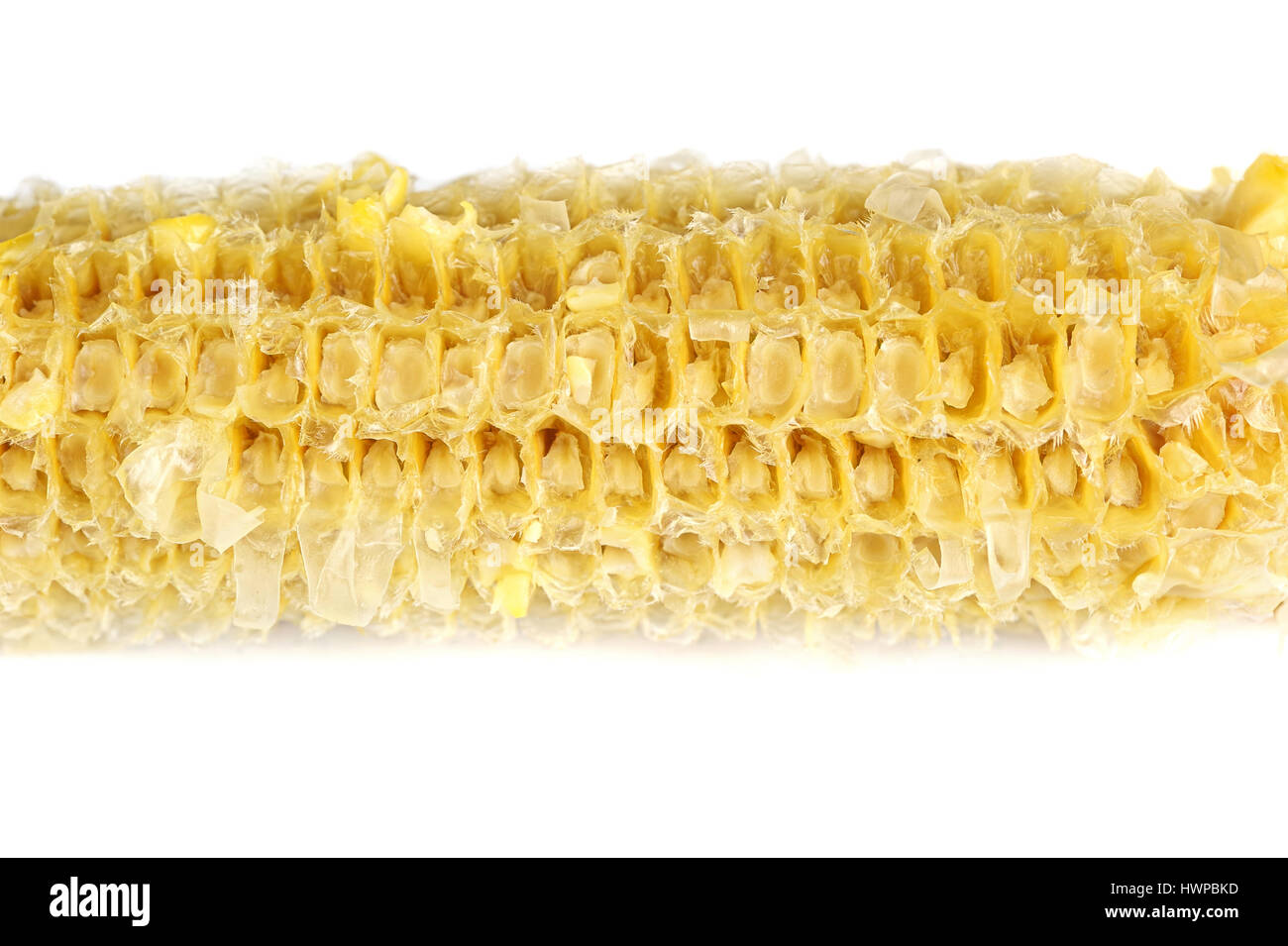 Fully eaten corn on the cob isolated on white Stock Photo - Alamy