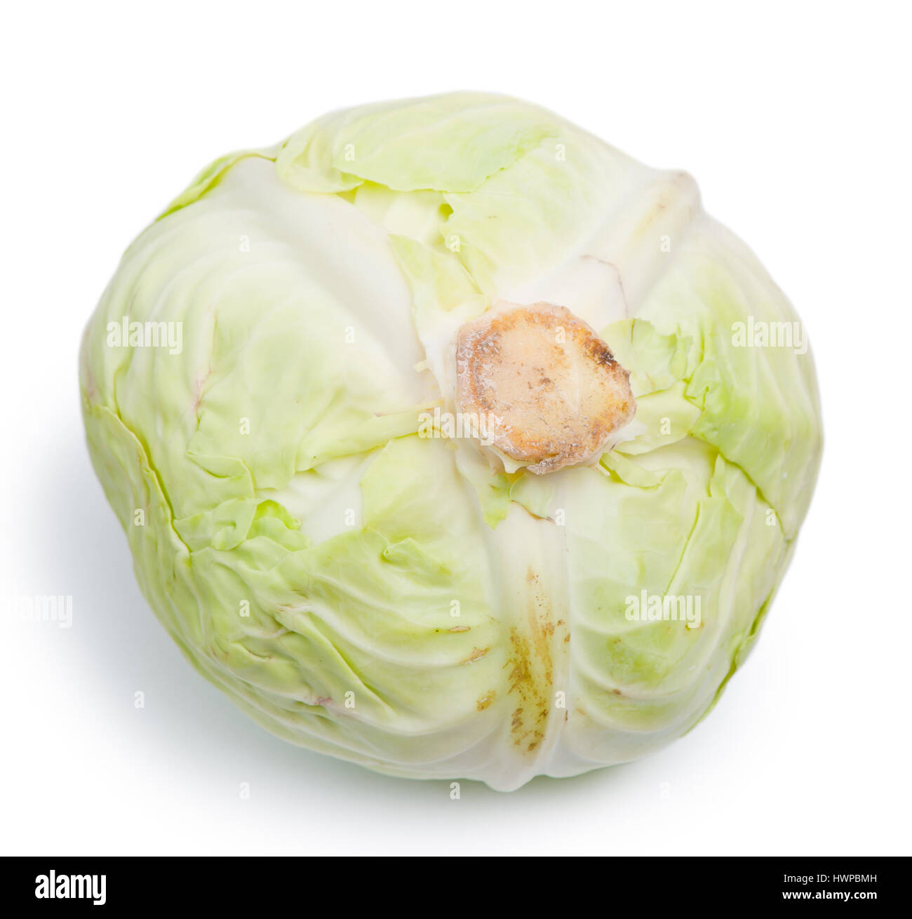 Cabbage isolated on white background Stock Photo - Alamy