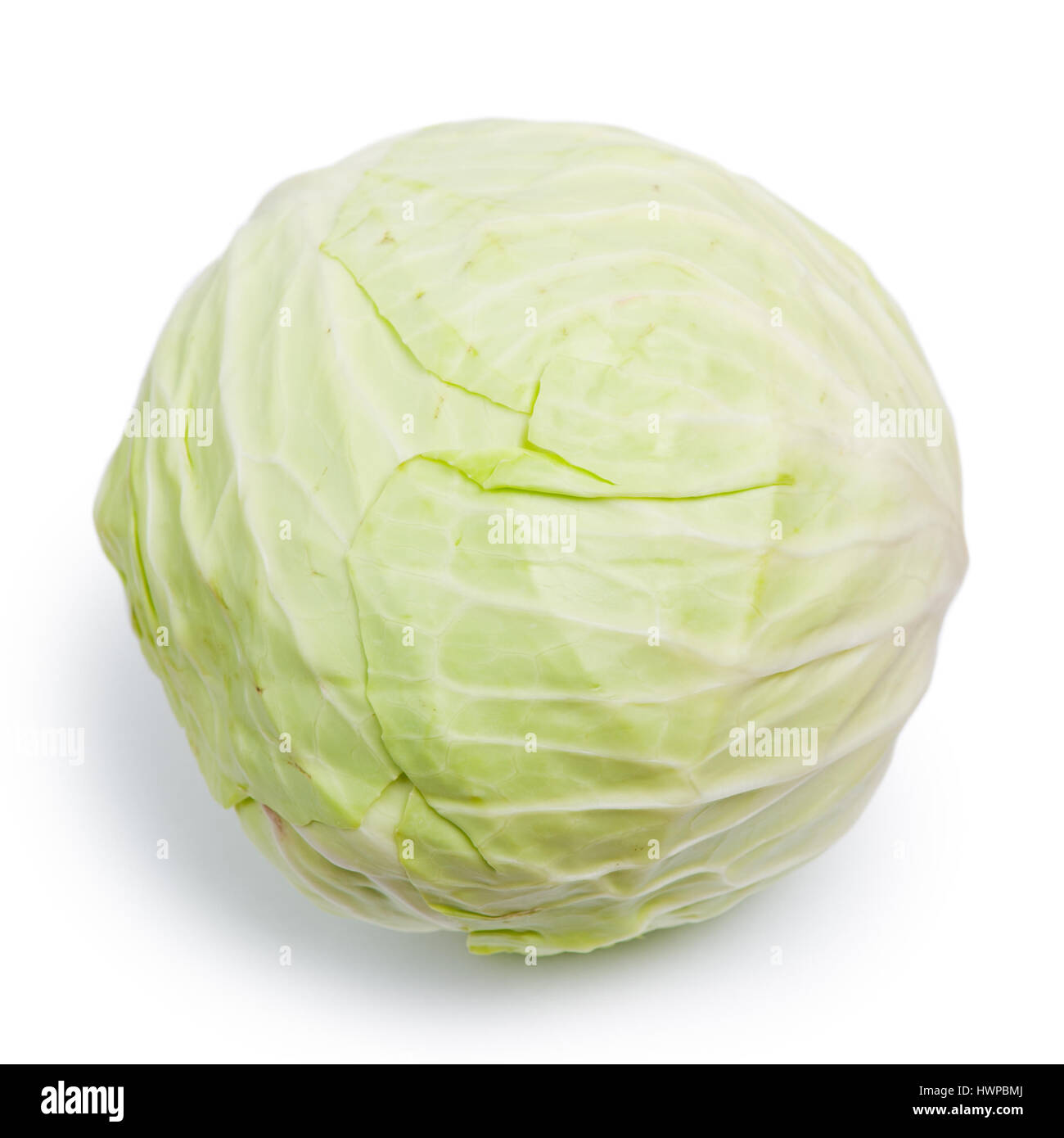 Cabbage isolated on white background Stock Photo - Alamy