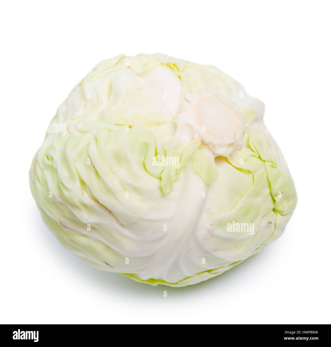 Cabbage isolated on white background Stock Photo - Alamy