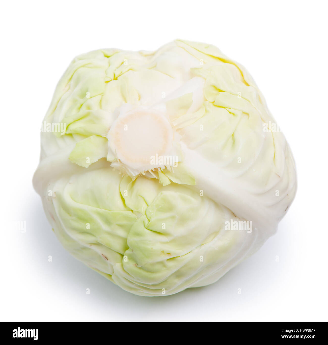 Cabbage isolated on white background Stock Photo - Alamy