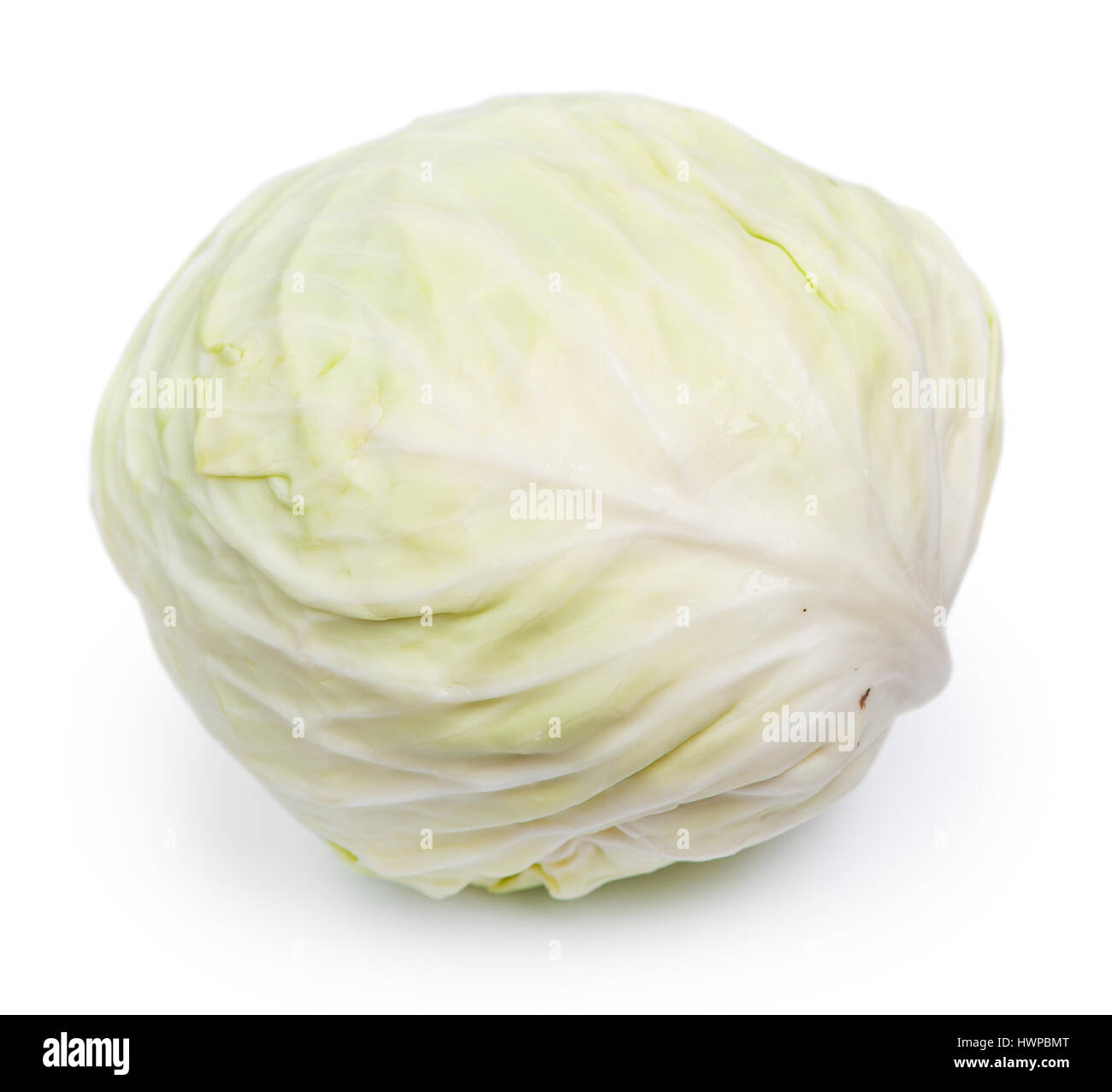 Cabbage isolated on white background Stock Photo - Alamy