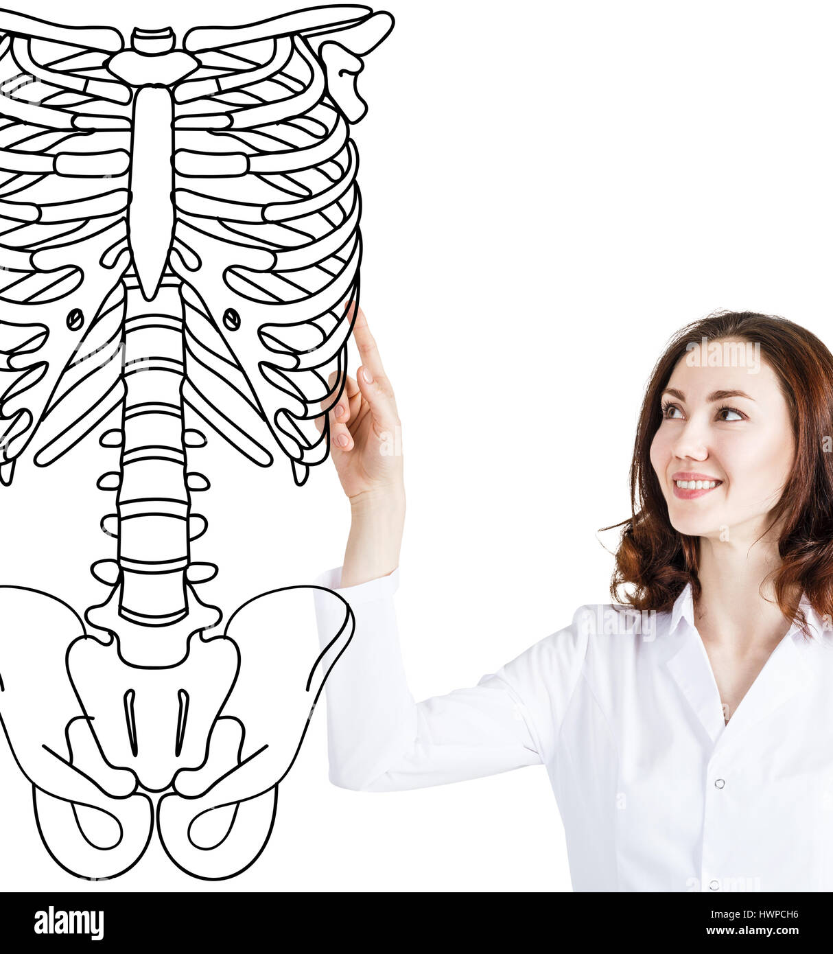 Medical doctor woman pointing on drawing human skeleton, isolated on ...