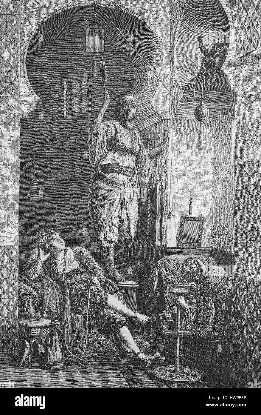 The thieving monkey. Monkey has stolen in the harem, a chain of ...