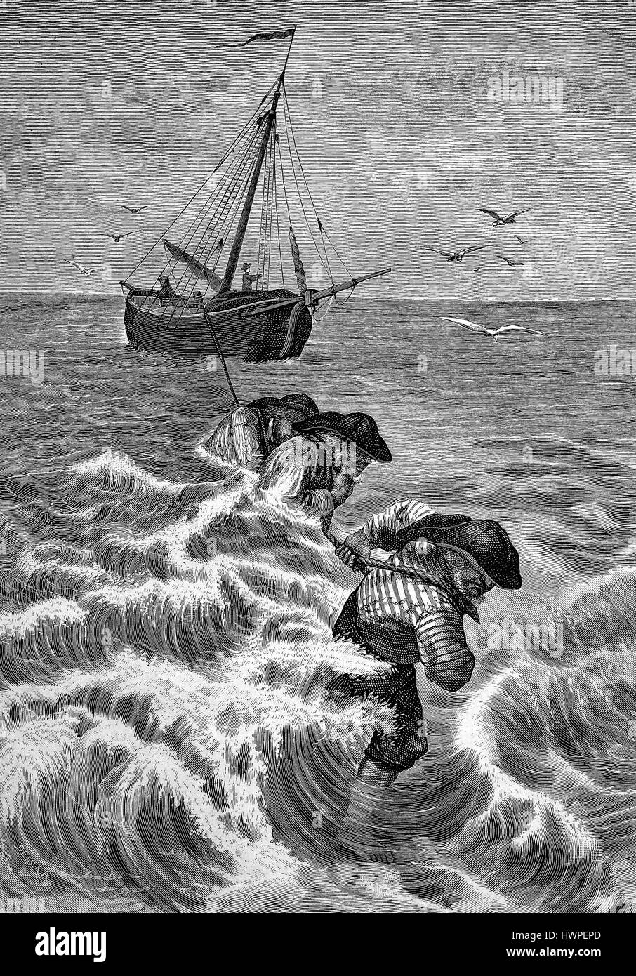 Bug letting go of a vessel by the tidal flats of the North Sea, Wadden ...