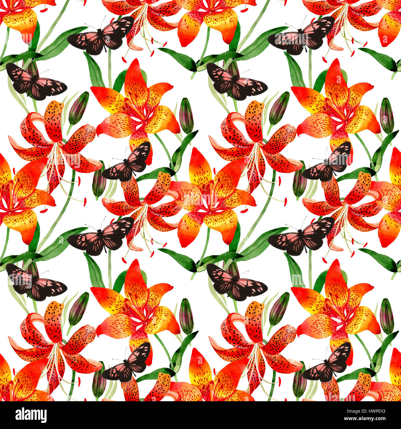 Wildflower leopard lily flower pattern in a watercolor style isolated ...