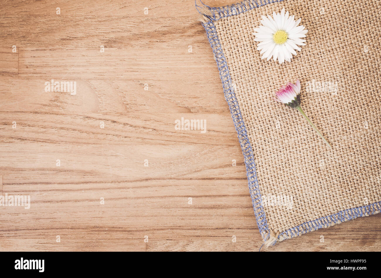 cut deisies flower heads on a rough fabric worktop - copy space Stock ...